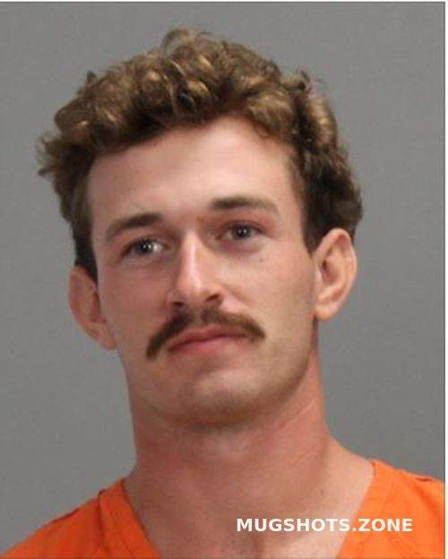 WILLIAMS NICHOLAS STEVEN 11/01/2024 - Brazos County Mugshots Zone