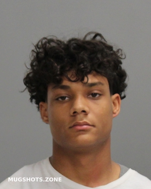 GOODEN DONDRE JOSEPH 11/10/2024 - Brazos County Mugshots Zone