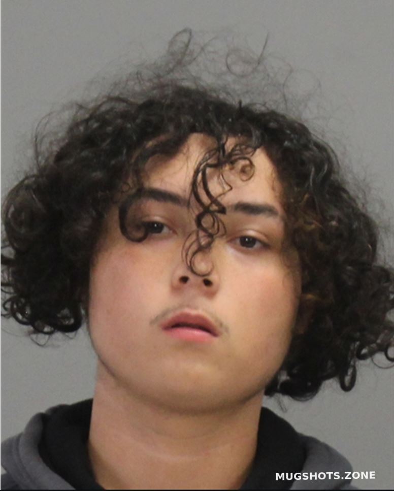 NICHOLS DYLAN WAYNE 11/11/2024 - Brazos County Mugshots Zone