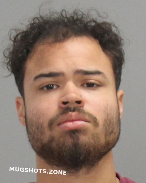 HENRY CHRISTIAN ALEXANDER 11/12/2024 - Brazos County Mugshots Zone