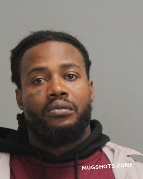 GOLDEN HOWARD LEWIS 11/17/2024 - Brazos County Mugshots Zone