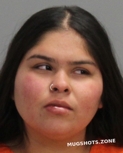 MARTINEZ JENNIFER 11/29/2024 - Brazos County Mugshots Zone