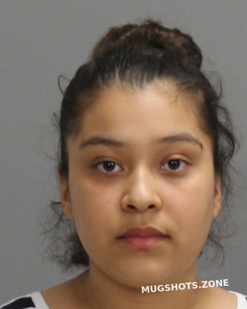 RAMIREZ YENCY 11/30/2024 - Brazos County Mugshots Zone