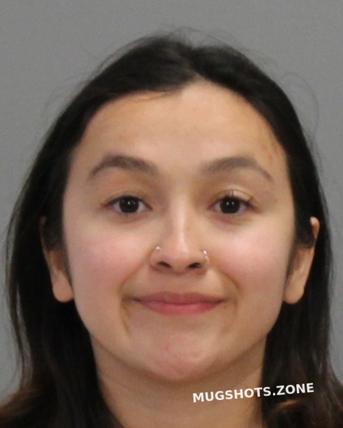 VALE ROBIN VICTORIA 12/01/2024 - Brazos County Mugshots Zone