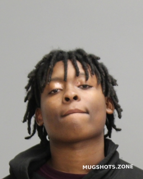 SHEPARD D'TERRIOUS 12/12/2024 - Brazos County Mugshots Zone
