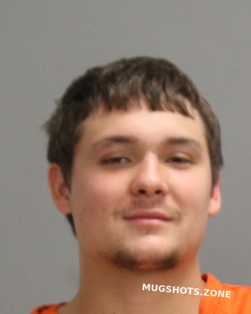 HOVER AYDEN 12/14/2024 - Brazos County Mugshots Zone