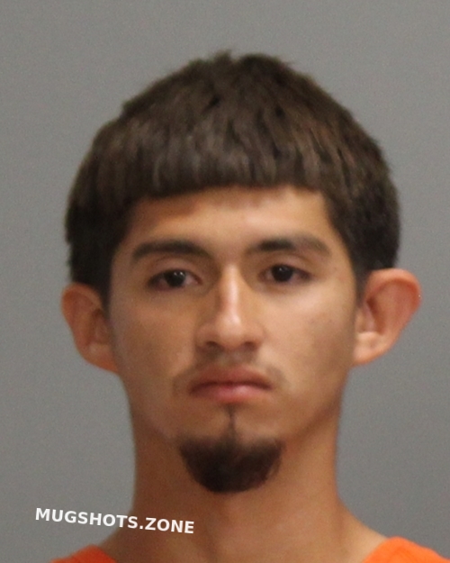 PRADO ROBERT LOUIS JR. 12/15/2024 - Brazos County Mugshots Zone