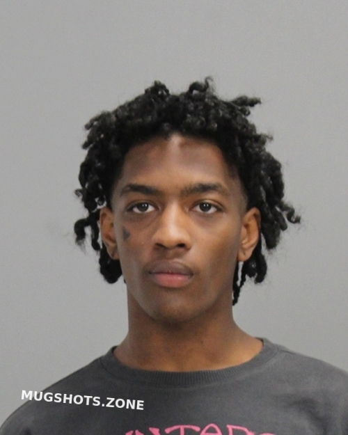 LEWIS KAMRON DEONJAY 12/18/2024 - Brazos County Mugshots Zone