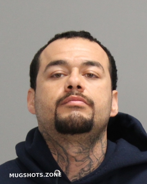 GALVAN NICKOLAS DANIEL 12/21/2024 - Brazos County Mugshots Zone