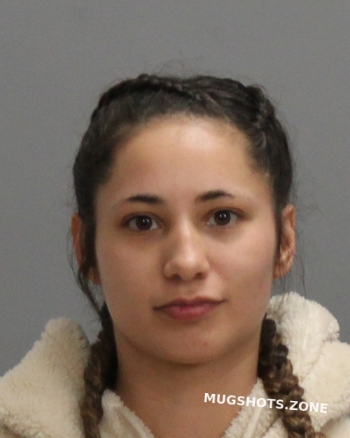 ZGABAY MIRANDA MARIE 01/01/2025 - Brazos County Mugshots Zone
