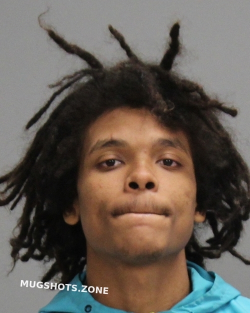 AMOS ZAYLAH TERRELL 01/01/2025 - Brazos County Mugshots Zone