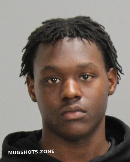 THOMPSON TAVON DEON 01/02/2025 - Brazos County Mugshots Zone