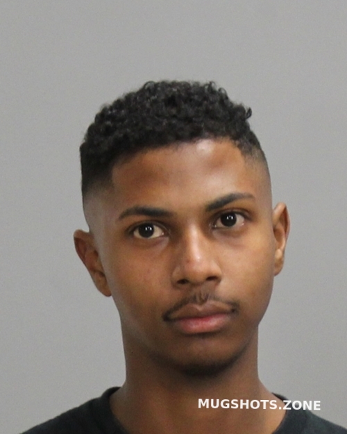 ROBERTS-HOWDEN DENHAM PAUL 01/02/2025 - Brazos County Mugshots Zone