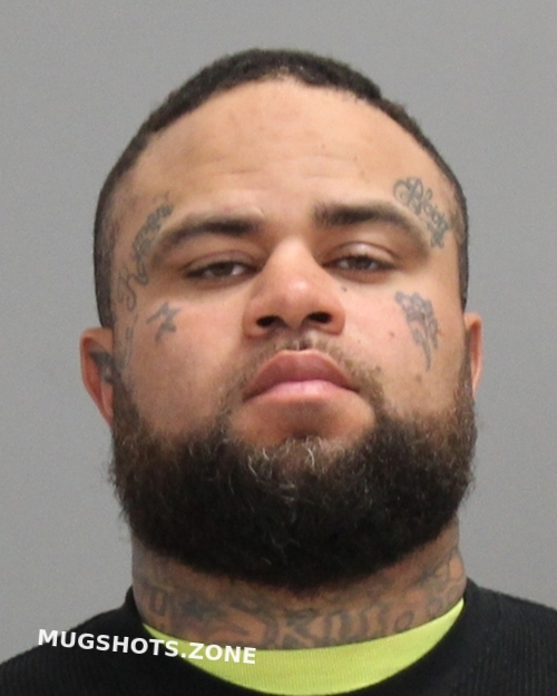 JOHNSON ANDRE EUGENE 01/02/2025 - Brazos County Mugshots Zone