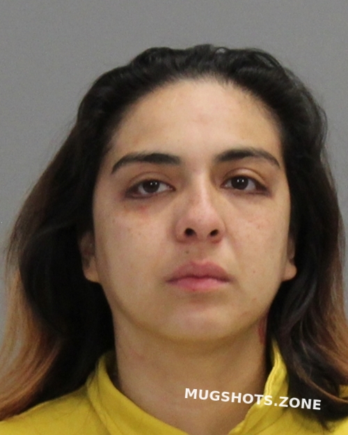 ALCALA GABRAEL DENISE 01/02/2025 - Brazos County Mugshots Zone