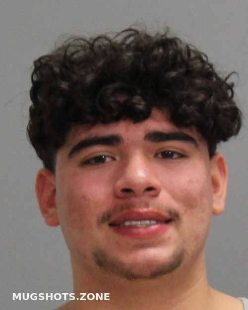 JIMENEZ ANDREW RUBEN 01/04/2025 - Brazos County Mugshots Zone