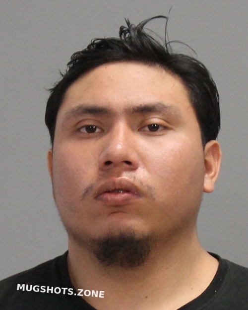 SANCHEZ FERNANDEZ MARCOS JAVIER 01/13/2025 - Brazos County Mugshots Zone