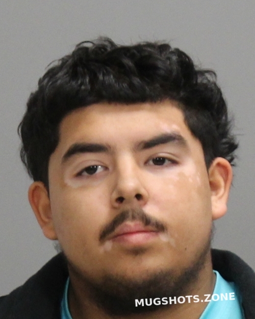 TORRES ANDREW EMMANUEL 01/14/2025 - Brazos County Mugshots Zone