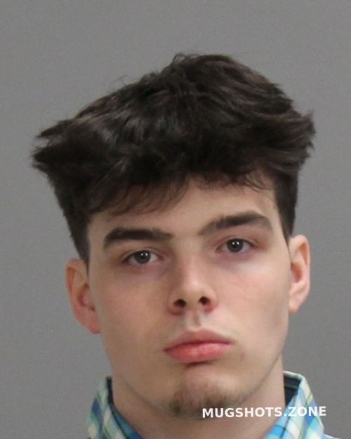 YOUNG LAWSON TATE 01/17/2025 - Brazos County Mugshots Zone