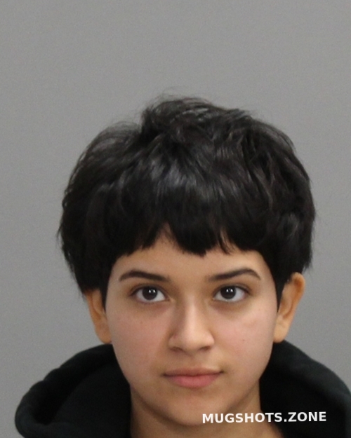 RAMOS RAMIREZ MARY SOL 01/18/2025 - Brazos County Mugshots Zone