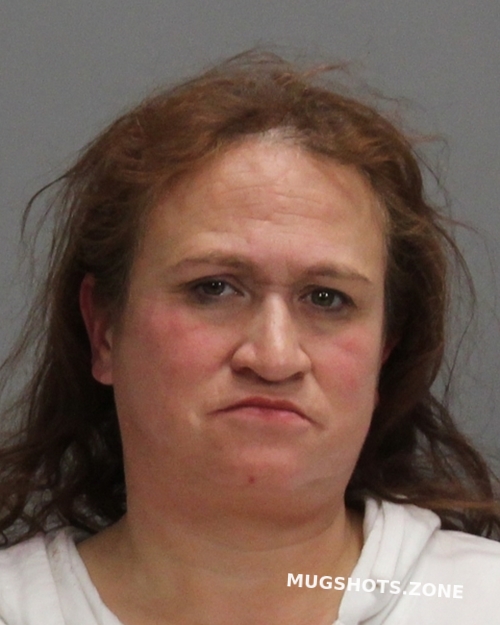 IBARRA WENDY SUSAN 01/19/2025 - Brazos County Mugshots Zone