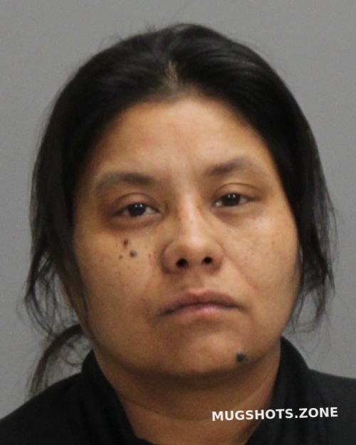 JACKSON BETTY ANN 01/21/2025 - Brazos County Mugshots Zone