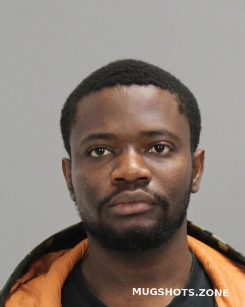 LEVAI JEROME NYONGASEN 01/29/2025 - Brazos County Mugshots Zone