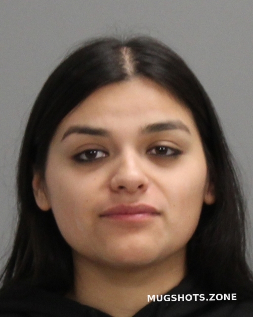 RANGEL JASMINE LETICIA 02/01/2025 - Brazos County Mugshots Zone
