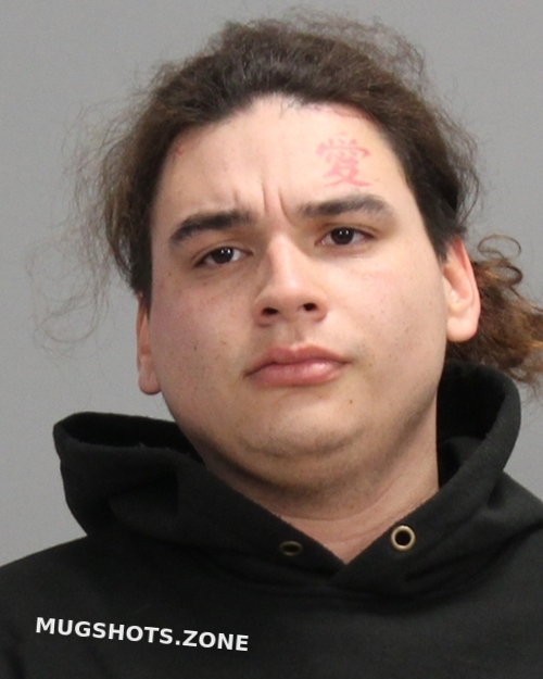 GONZALES SENOVIO JOE 02/08/2025 - Brazos County Mugshots Zone