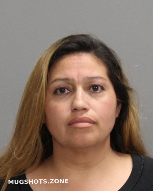 CHAVARIN CRISTINA LIZBETH 02/09/2025 - Brazos County Mugshots Zone
