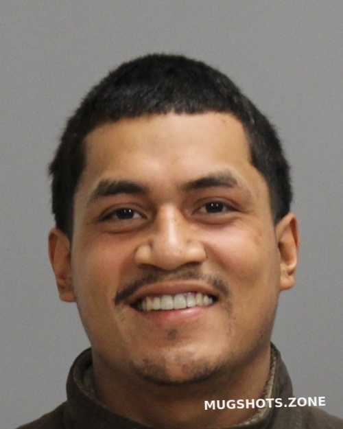 TORRES JESUS MANUEL 02/13/2025 - Brazos County Mugshots Zone