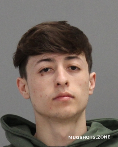 CERVANTES JOSE INES 02/15/2025 - Brazos County Mugshots Zone