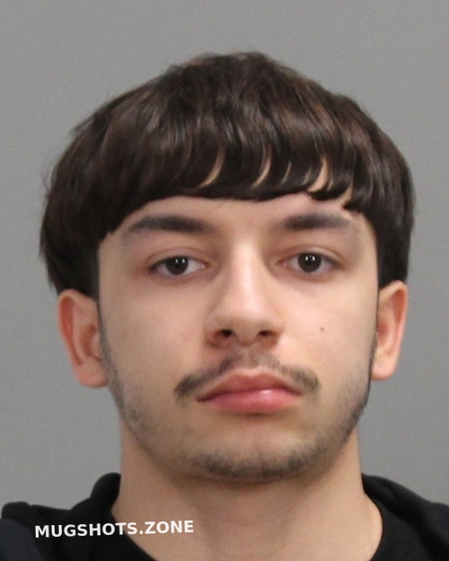 LOEHR JOSEPH LUKE 02/24/2025 - Brazos County Mugshots Zone