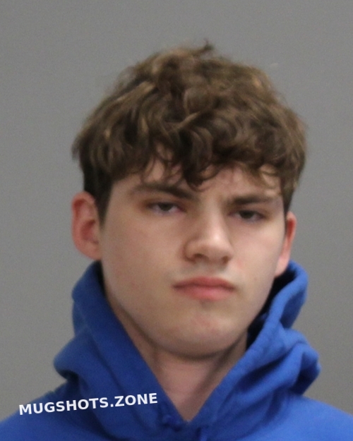 ANSTIS TANNER AIDAN 02/25/2025 - Brazos County Mugshots Zone