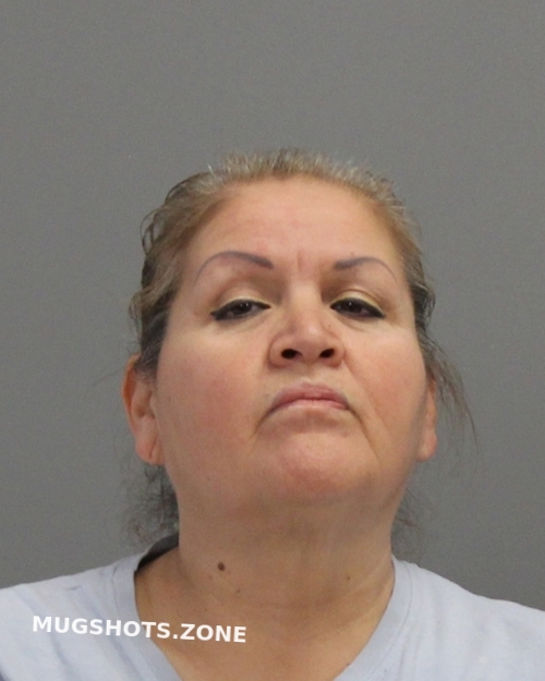 TELLO MARY GUADLUPE 02/27/2025 - Brazos County Mugshots Zone