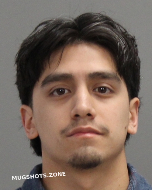 SERNA REGGIE IGNACIO 02/28/2025 - Brazos County Mugshots Zone