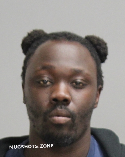 DEERE LAMAR RAYNARD 03/03/2025 - Brazos County Mugshots Zone