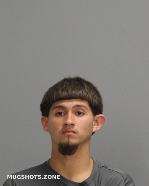 PRADO ROBERT LOUIS JR. 03/03/2025 - Brazos County Mugshots Zone