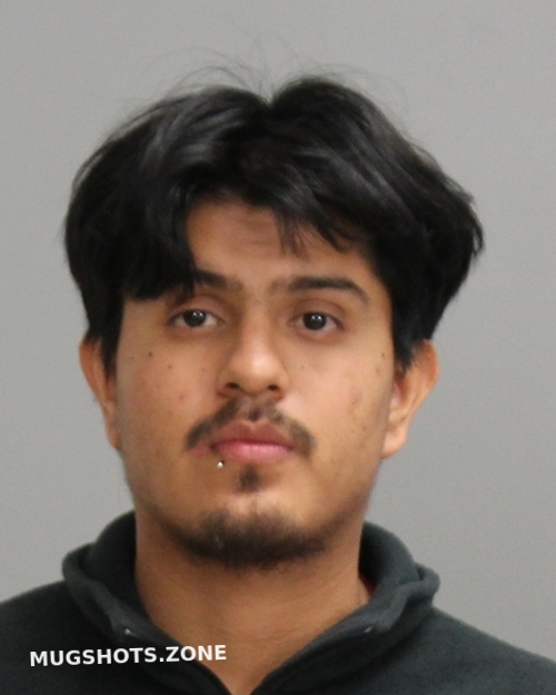 CARDONA MARTIN 03/16/2025 - Brazos County Mugshots Zone