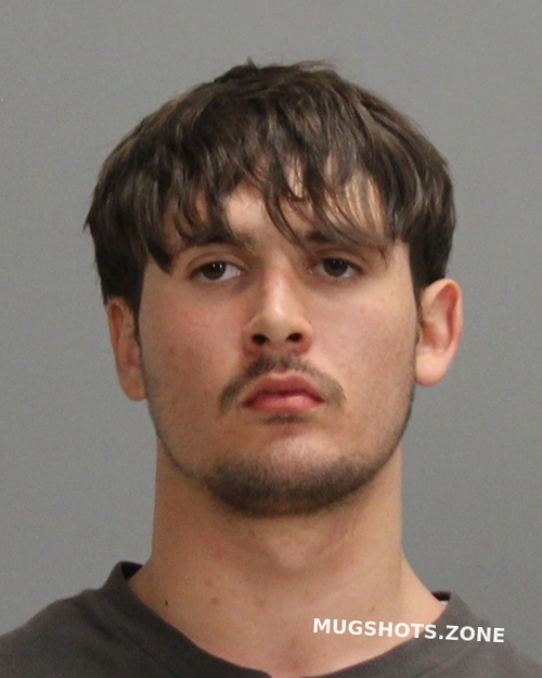 LAPHAM LUKE THOMAS 03/17/2025 - Brazos County Mugshots Zone