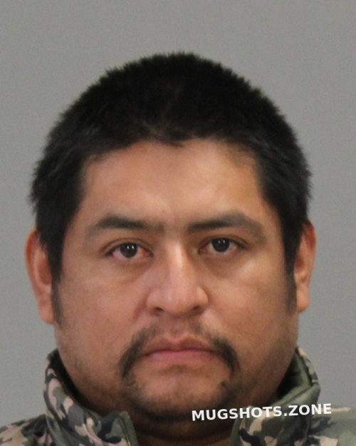 JORDAN ALDO 03/20/2025 - Brazos County Mugshots Zone