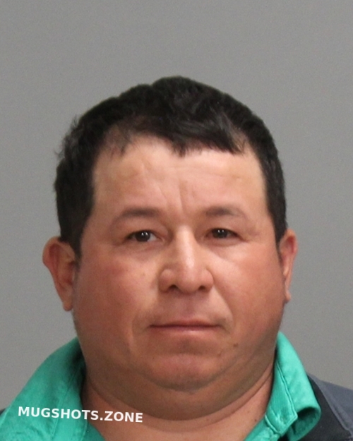 OSCAR MOLINA CHACON ESTUARDO 03/20/2025 - Brazos County Mugshots Zone