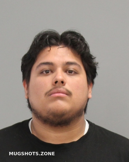 CHAVARIN FERNANDO ANTHONY 03/25/2025 - Brazos County Mugshots Zone