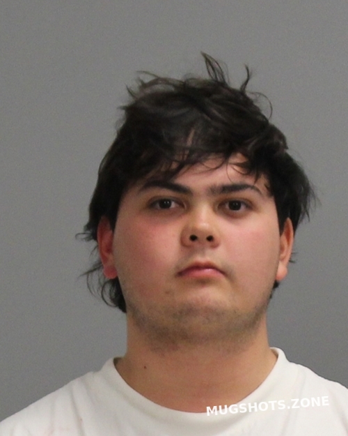 SUDAY DAVID 03/26/2025 - Brazos County Mugshots Zone