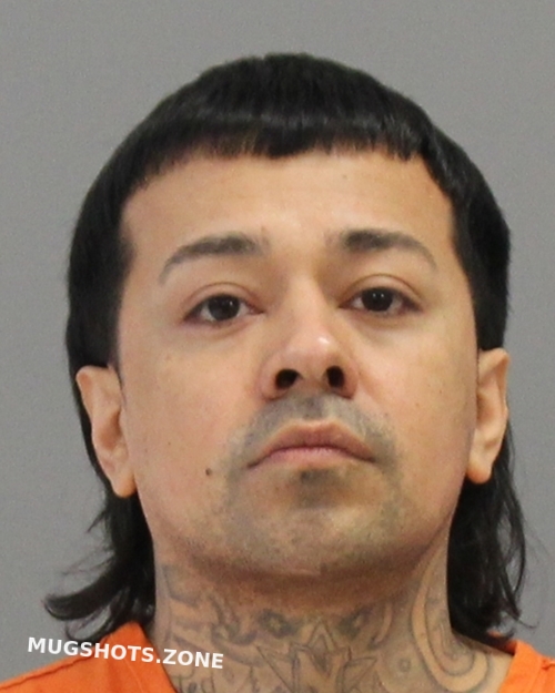 BARRIENTOS ALEJANDRO JR 03/26/2025 - Brazos County Mugshots Zone