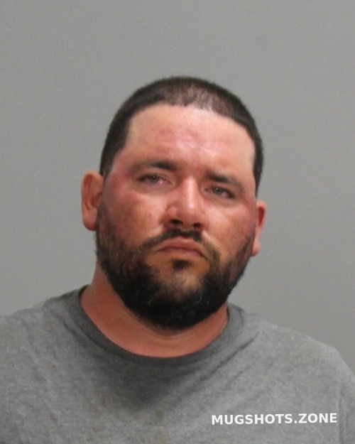 SOLIS PERLA JUAN ANGEL 03/27/2025 - Brazos County Mugshots Zone