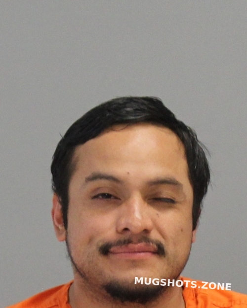 LARA AARON ALFRED 03/28/2025 - Brazos County Mugshots Zone