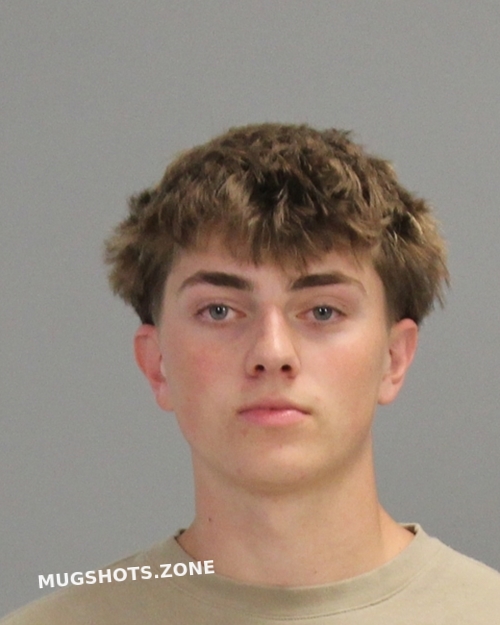 TERPSTRA BREKKE AYDEN 03/29/2025 - Brazos County Mugshots Zone