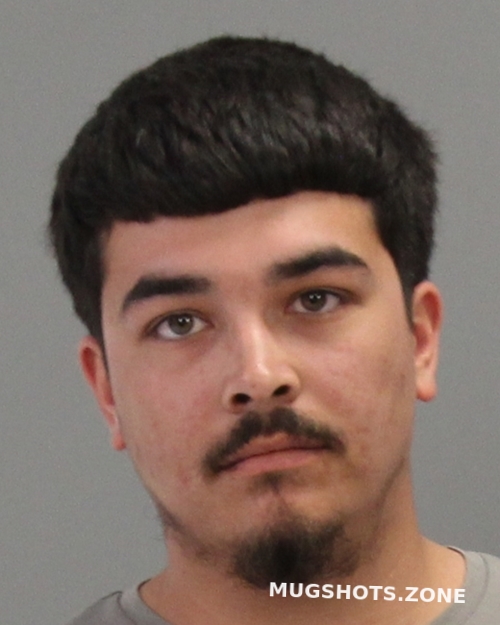 VILLEDA EDGAR ALEXANDER 04/04/2025 - Brazos County Mugshots Zone