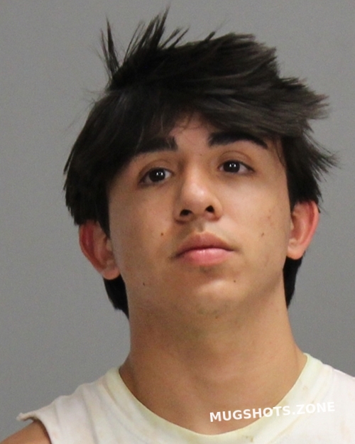 TREVINO LUKE MARCUS 04/05/2025 - Brazos County Mugshots Zone